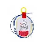 Philips Training Replacement Pads - Adult M5093A – Supply Store NOW